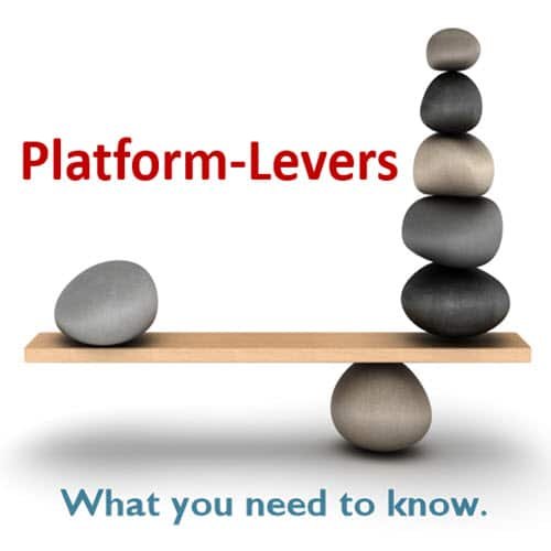 Platform-Levers and Product Line Strategy - The Adept Group